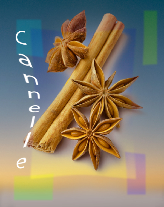 Parfum Cannelle Bougies - MONDO BOUGIES